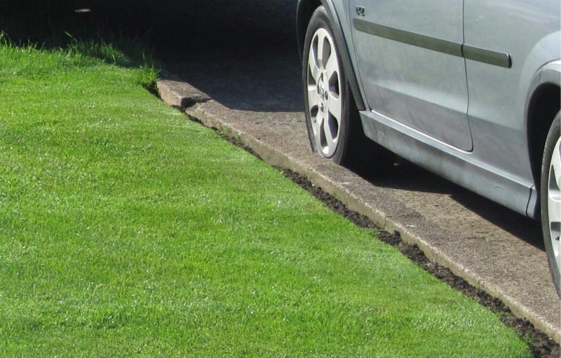 Grass Verges - Alwoodley Parish Council